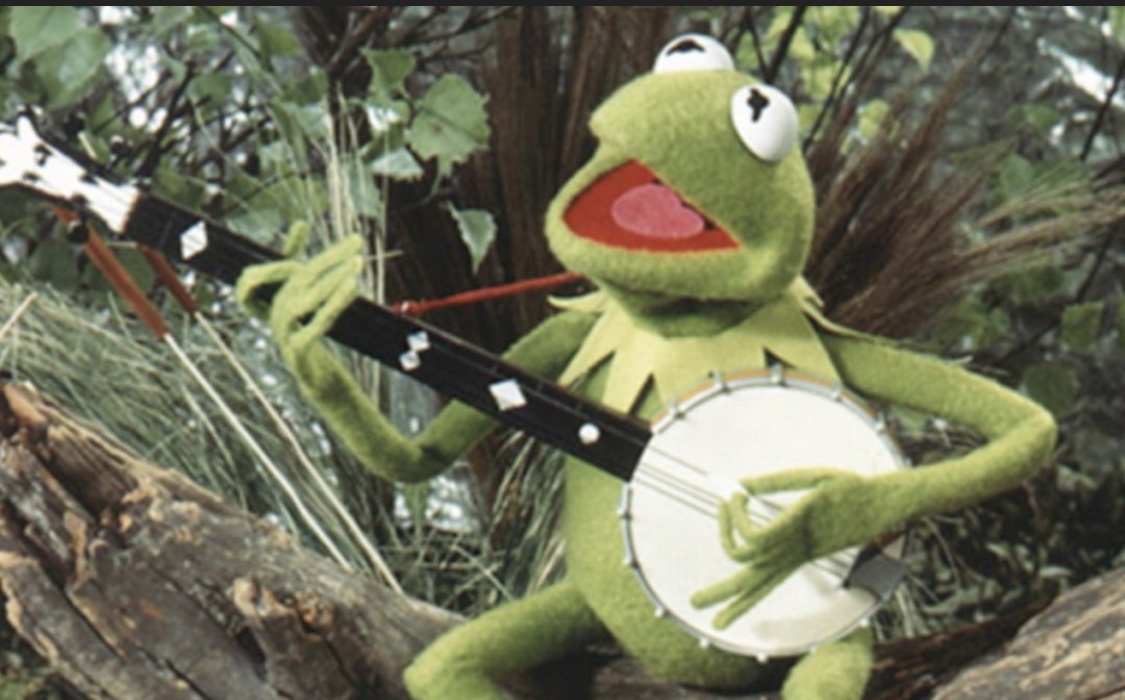 Famous Frogs! – Yellowrock & Roll!